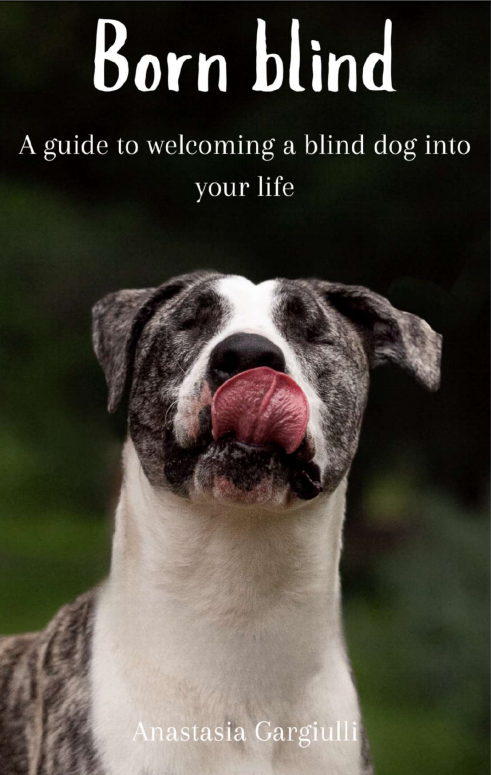 Born Blind - A Guide to Welcoming a Blind Dog Into Your Life ...