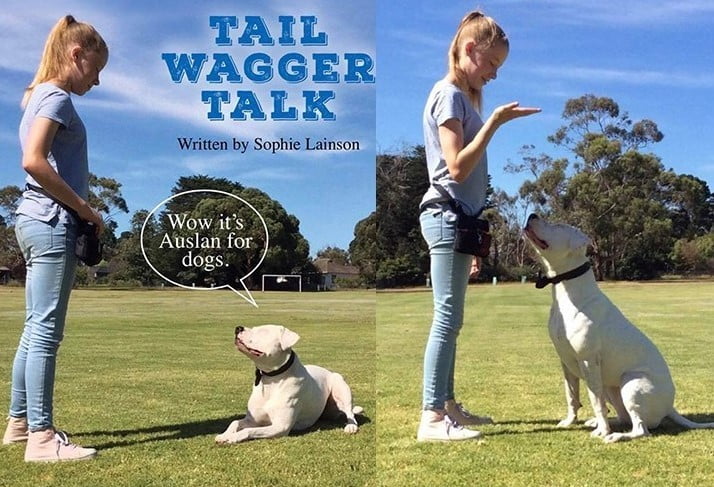 Tail Wagger Book – deafdogrescue